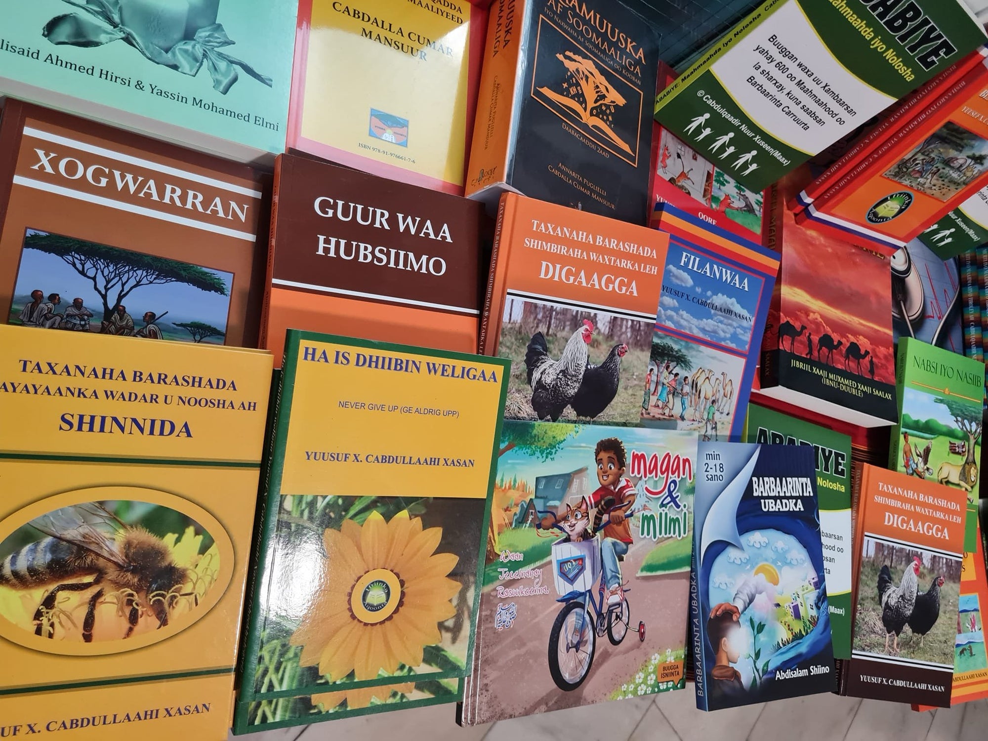 Learn more About Us | Read Somali Books at Iftiinka Aqoonta